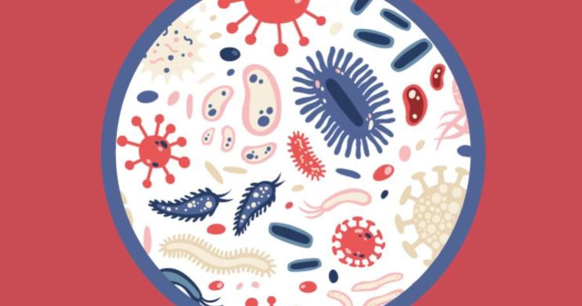 [Microbiote Intestinal et Diabète de Type 2 ] | [Rôle du Microbiote ...